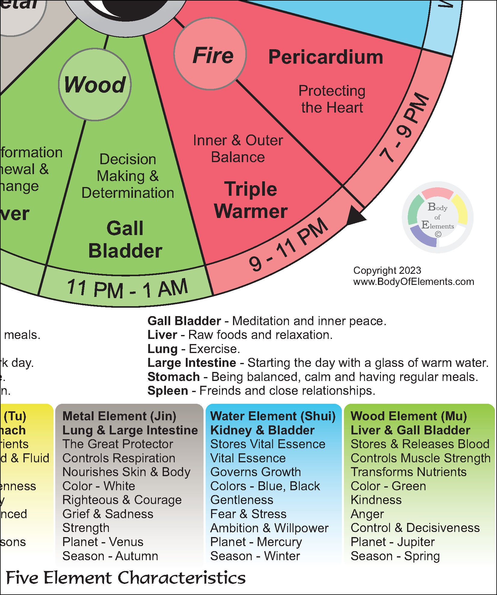 Chinese Medicine Meridian Organ Body Qi Clock TCM Associations Five ...
