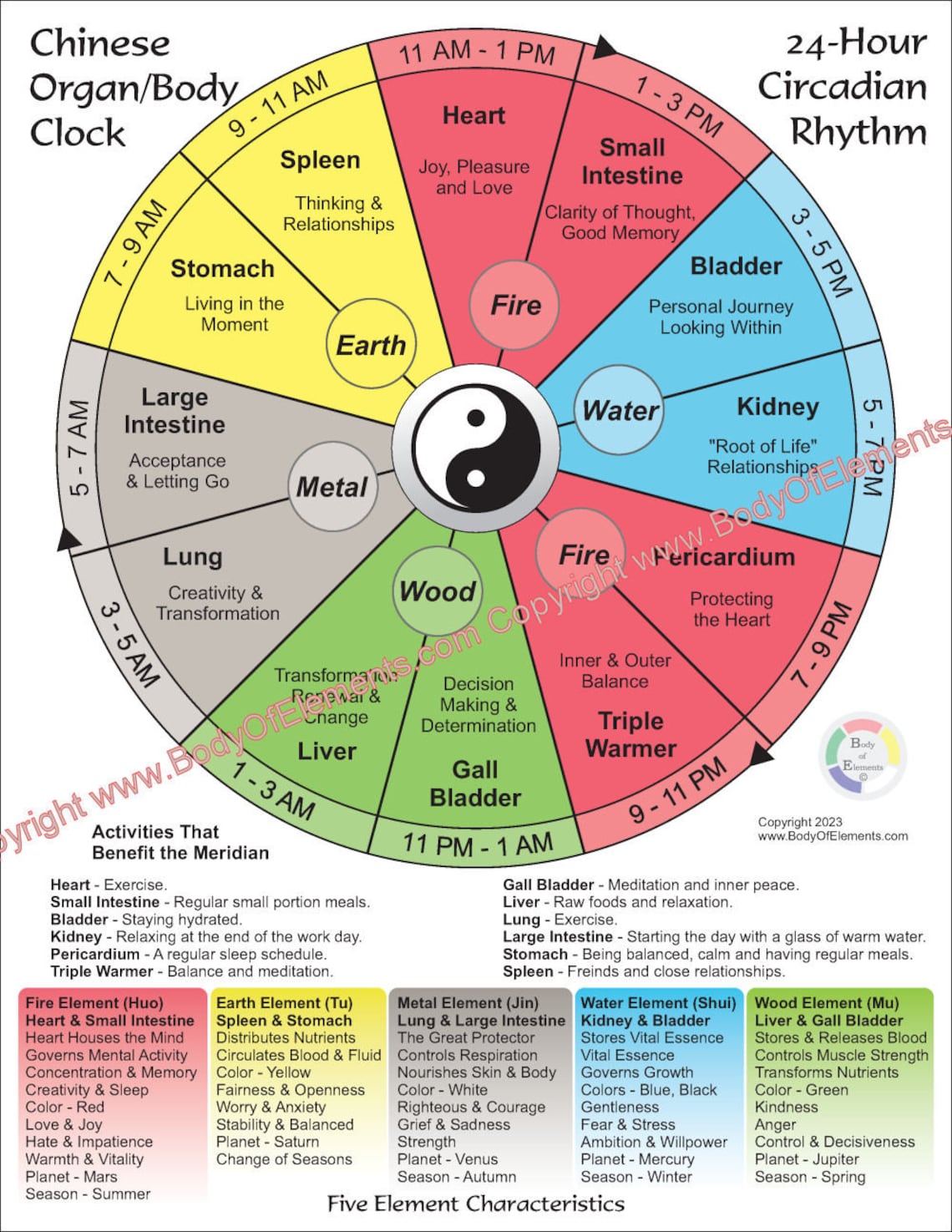 Chinese Medicine Meridian Organ Body Qi Clock TCM Associations Five ...