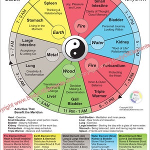 Chinese Medicine Meridian Organ Body Qi Clock TCM Associations Five ...