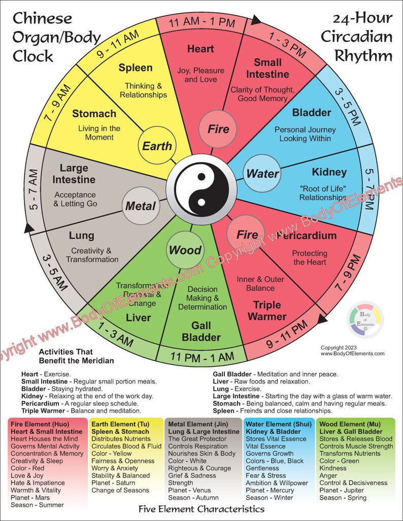 Chinese Medicine Meridian Organ Body Qi Clock TCM Associations Five ...