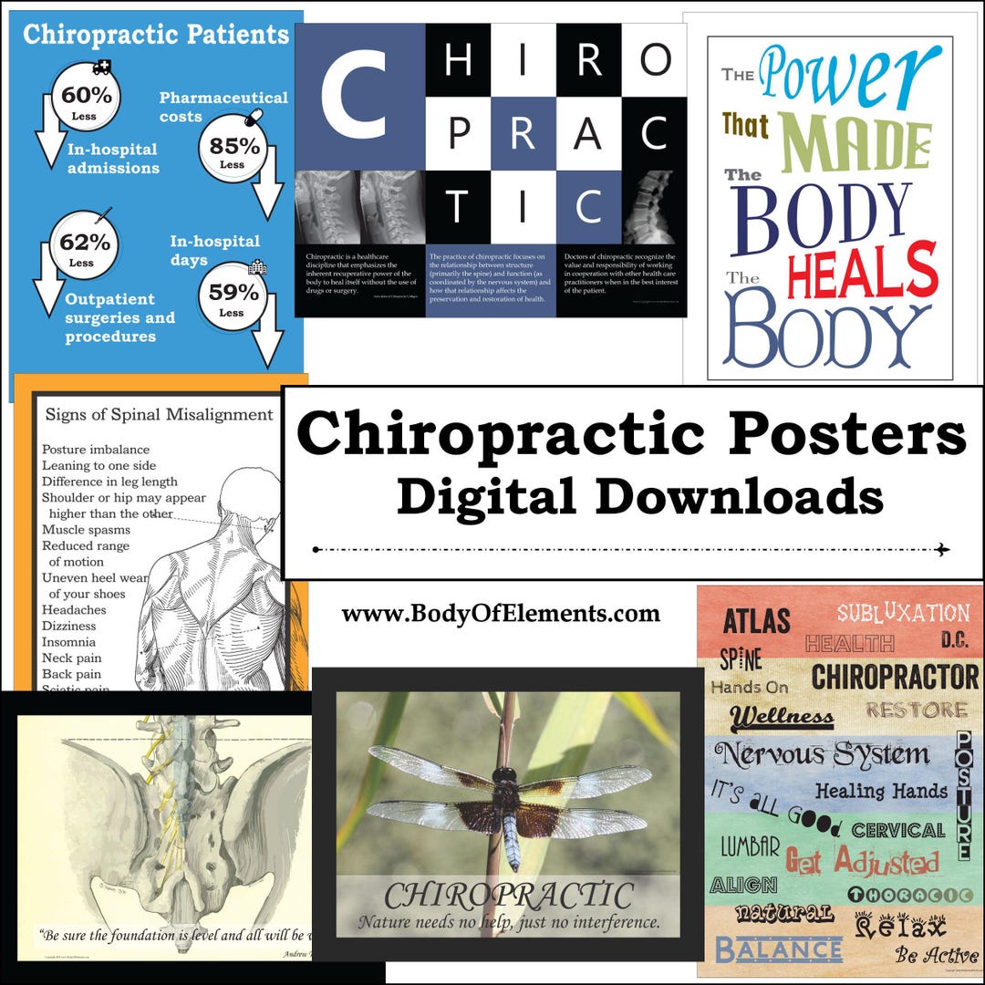 Chiropractic Posters Digital Download Prints Clinic Wall Art Charts ...