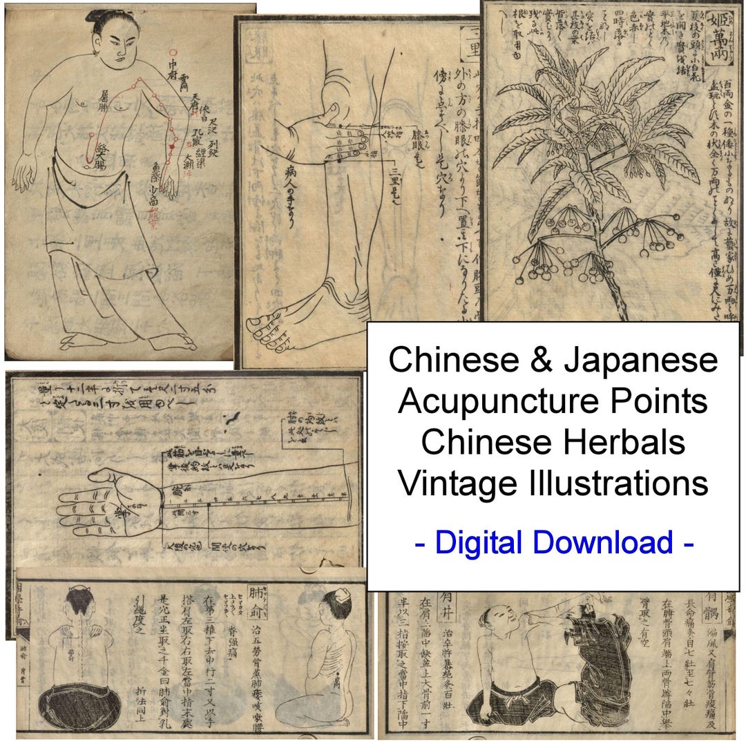 Chinese Medicine Japanese Acupuncture Meridian Point Locations ...