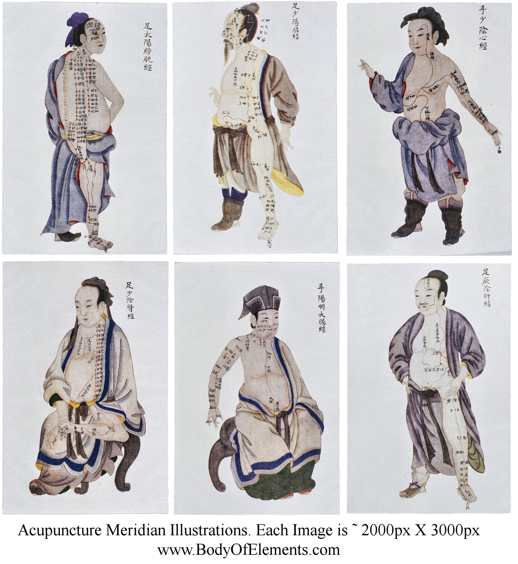 14 Vintage Acupuncture Meridian Color Illustrations Digital Prints ...