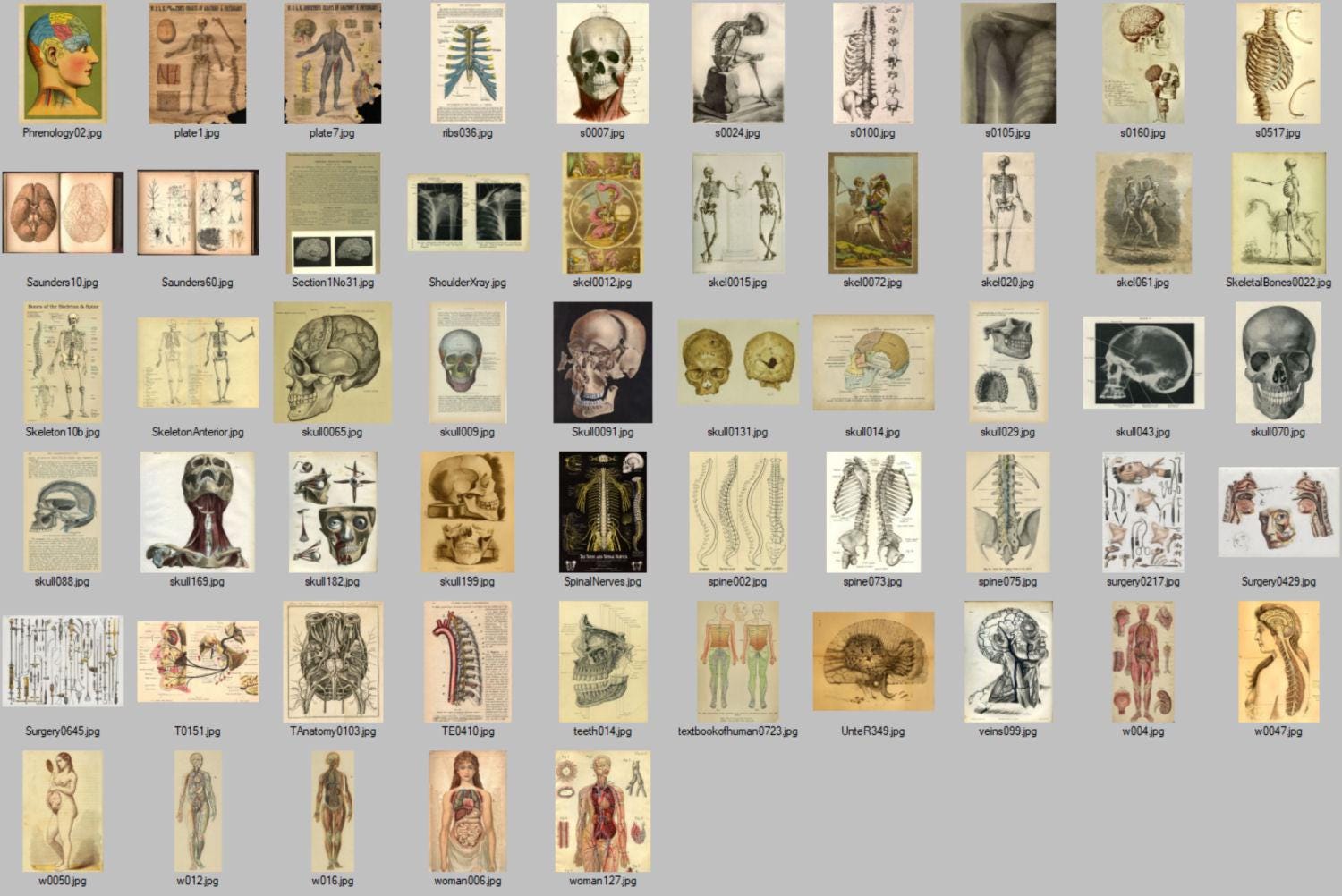 225 Vintage Old Anatomy Illustrations Medical Ephemera Digital Print ...