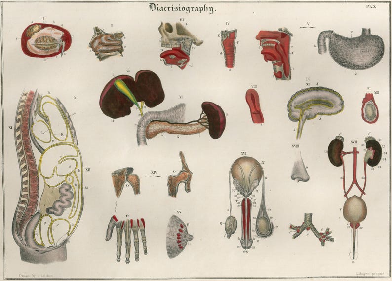 Vintage Anatomy 14 Digital Print Download Junk Journal Medical ...