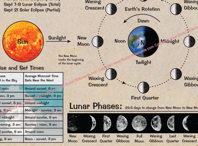 Moon Phases Lunar Cycle Astronomy Calendar Printable Instant Print ...