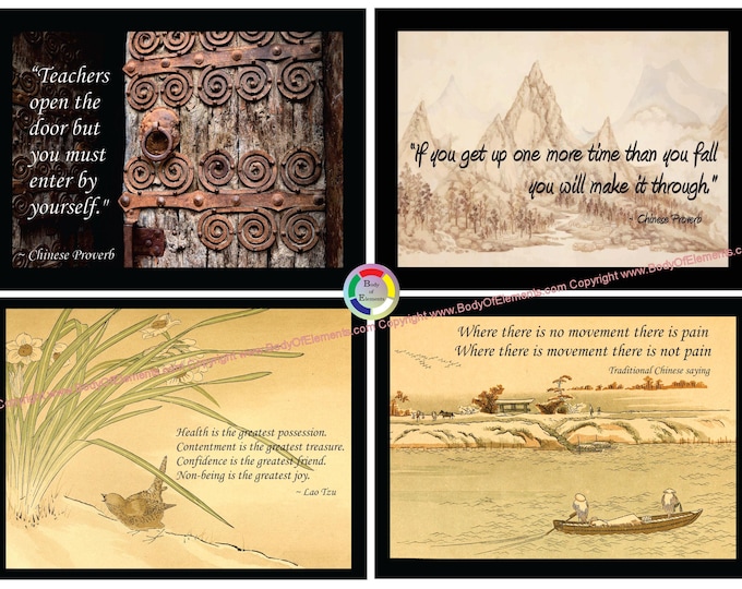 Chinese Medicine Meridian Organ Body Qi Clock TCM Associations Five ...