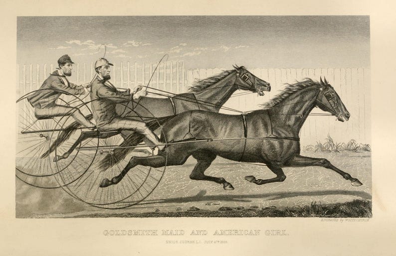 Horse Equestrian 95 Vintage Old Horseback Riding Ephemera Digital Print ...
