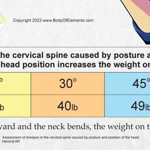 Text Neck Syndrome Poster Anterior Head Carriage Position Chiropractic Physical Therapy Digital ...