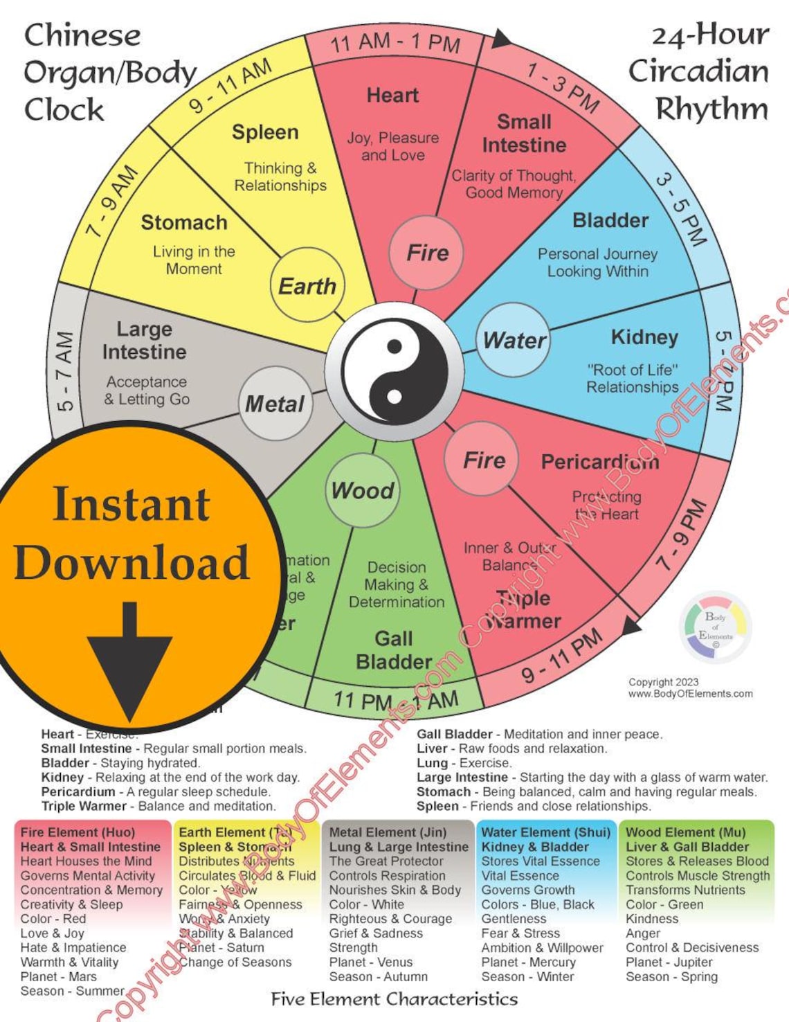 Chinese Medicine Meridian Organ Body Qi Clock TCM Associations Five ...