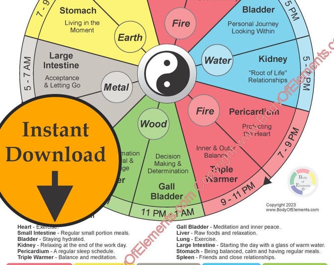 Chinese Medicine Meridian Organ Body Qi Clock TCM Associations Five ...