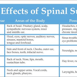Effects of Spinal Subluxation Chiropractic Poster Handout Digital ...