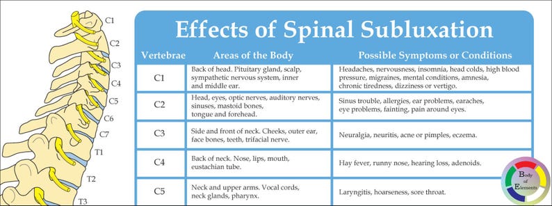 Effects of Spinal Subluxation Chiropractic Poster Handout Digital Download Printable Wall Chart ...