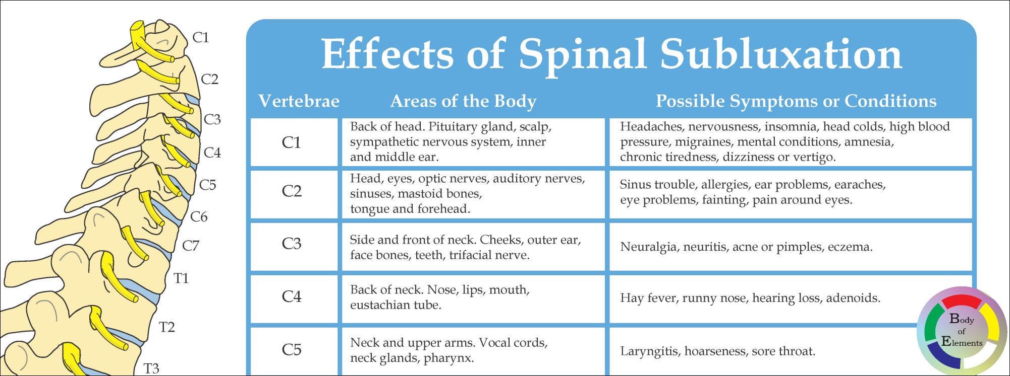 Effects of Spinal Subluxation Chiropractic Poster Handout Digital ...
