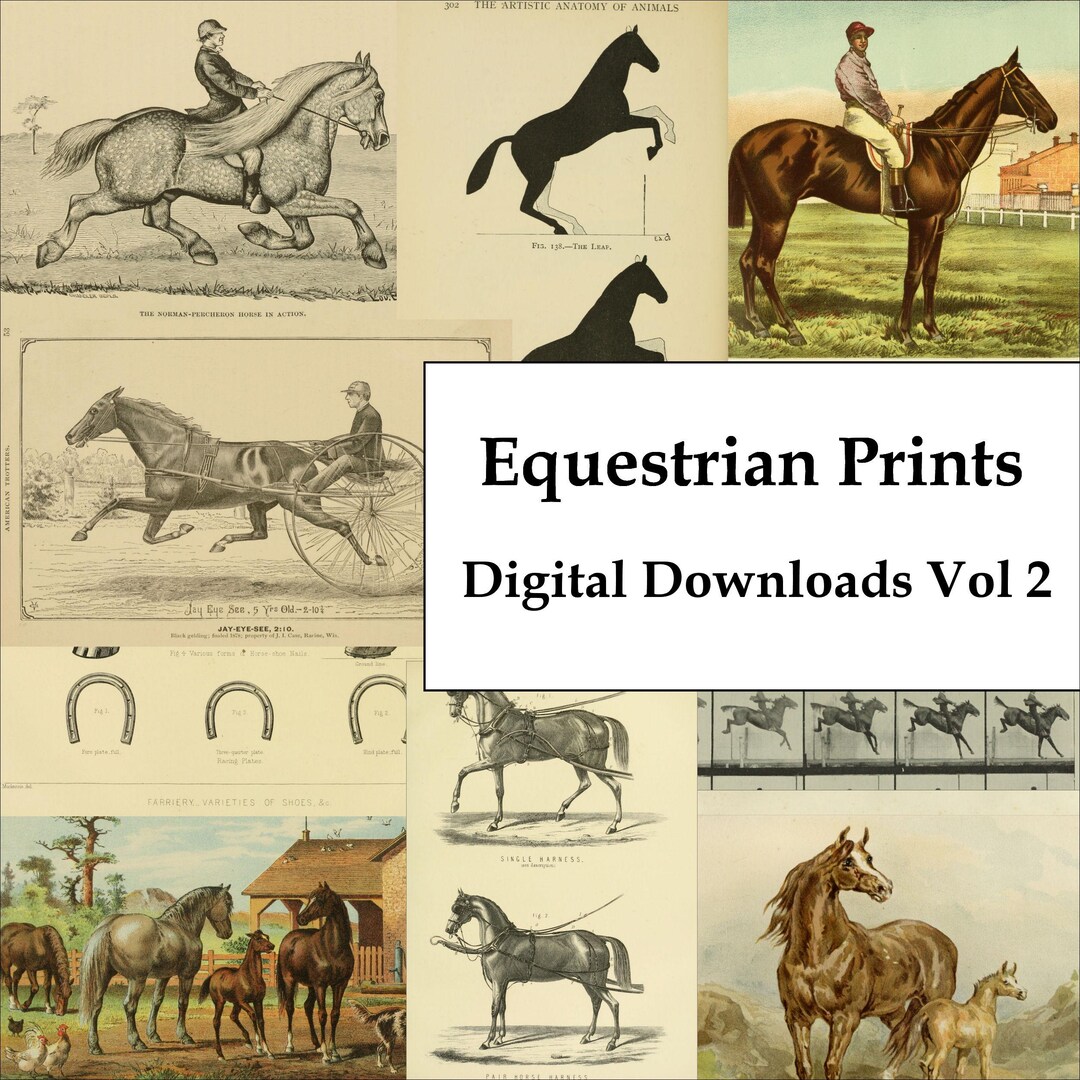 Horse Equestrian 92 Vintage Old Horseback Riding Ephemera Digital Print ...