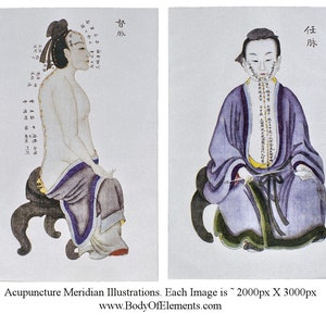 14 Vintage Acupuncture Meridian Color Illustrations Digital Prints ...