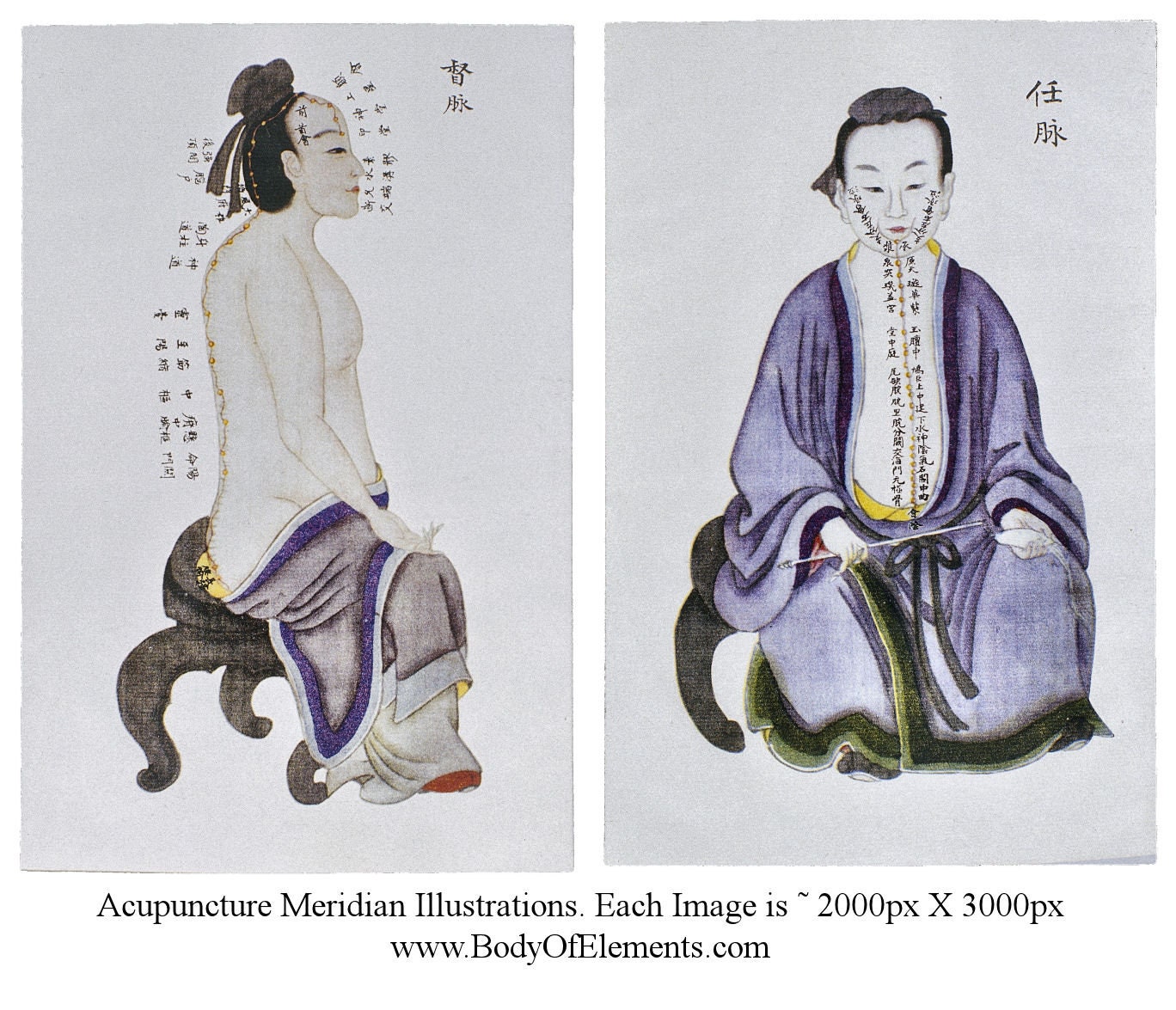 14 Vintage Acupuncture Meridian Color Illustrations Digital Prints ...