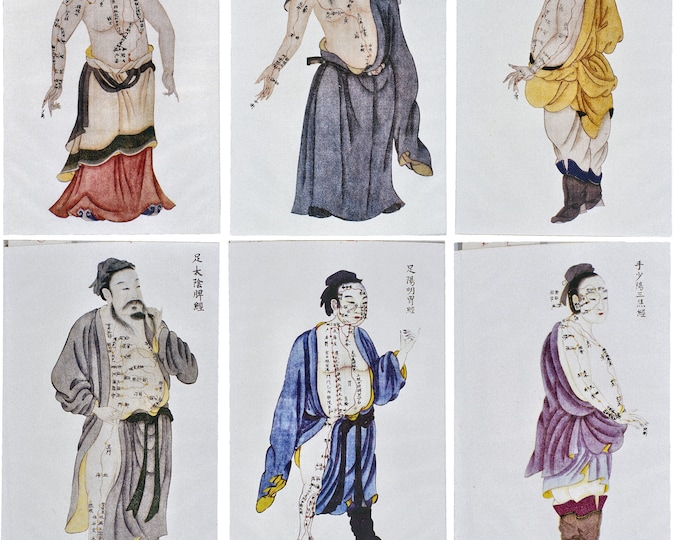 Chinese Medicine Meridian Organ Body Qi Clock TCM Associations Five ...