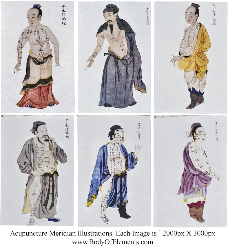 14 Vintage Acupuncture Meridian Color Illustrations Digital Prints ...