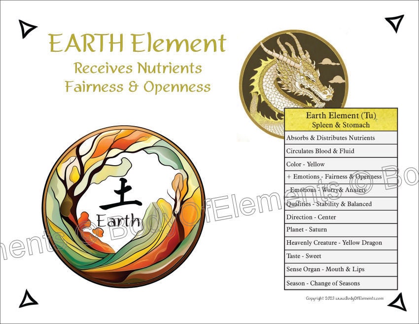 5 Five Elements Heavenly Creatures Acupuncture Digital Download Chinese ...