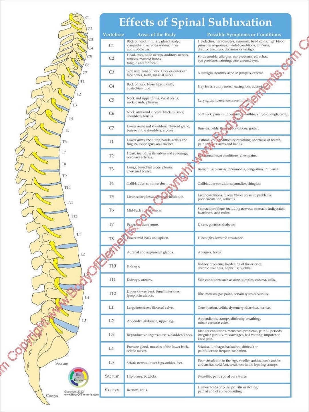 Effects of Spinal Subluxation Chiropractic Poster Handout Digital Download Printable Wall Chart ...