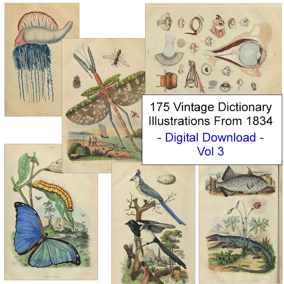 Vintage Dictionary Natural History Illustrations Digital Print Download ...