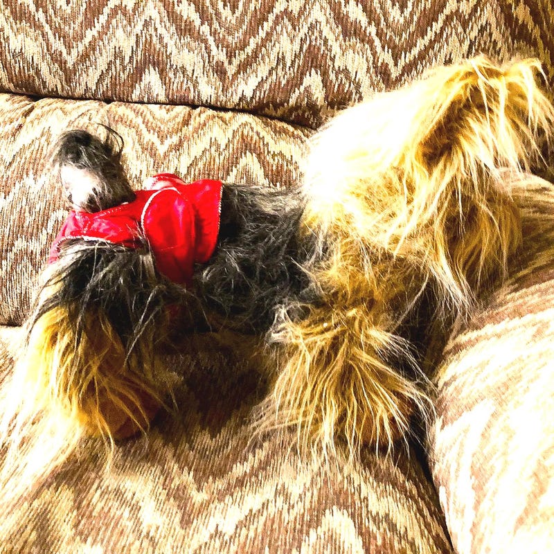 FabricFramesKristie - Etsy