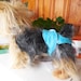 Yorkie Female Dog Diaper Sewing Pattern: (PDF Download) Sewing ...