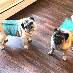 Pug Size Dog Diaper Wrap Belly Band Pattern Pdf Download Digital File ...