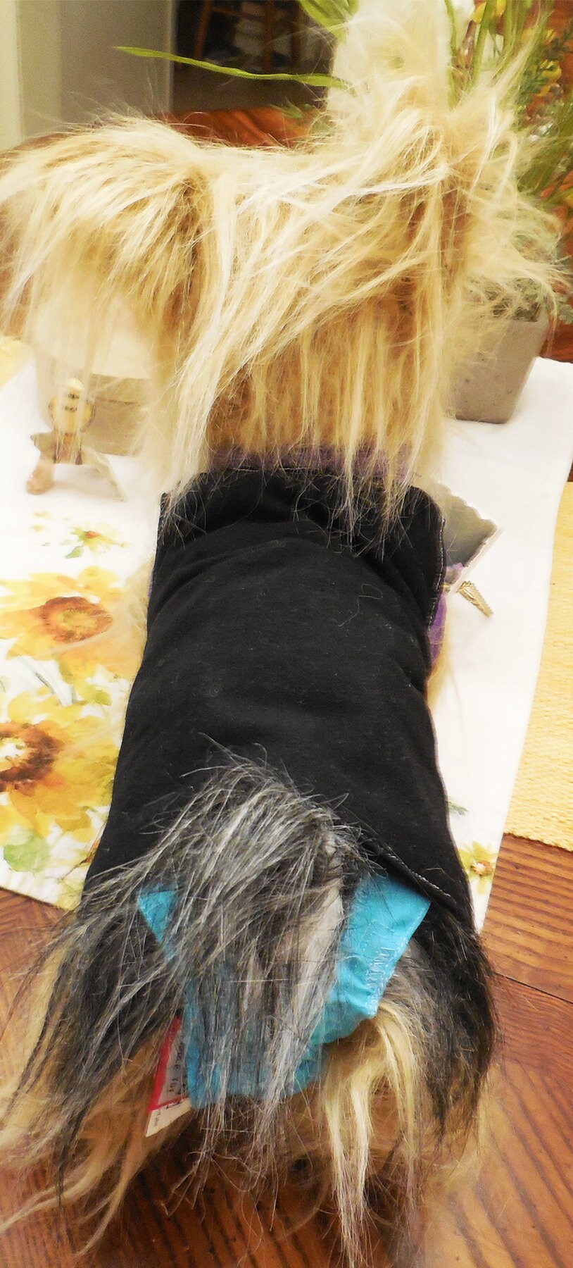 Yorkie Jacket Sewing Pattern: Reversible Dog Vest (PDF Download) - Etsy