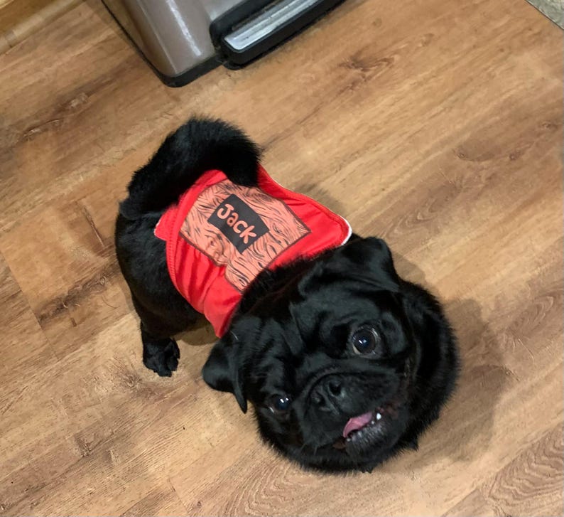 Pug Size Dog Diaper Wrap Belly Band Pattern Pdf Download Digital File ...