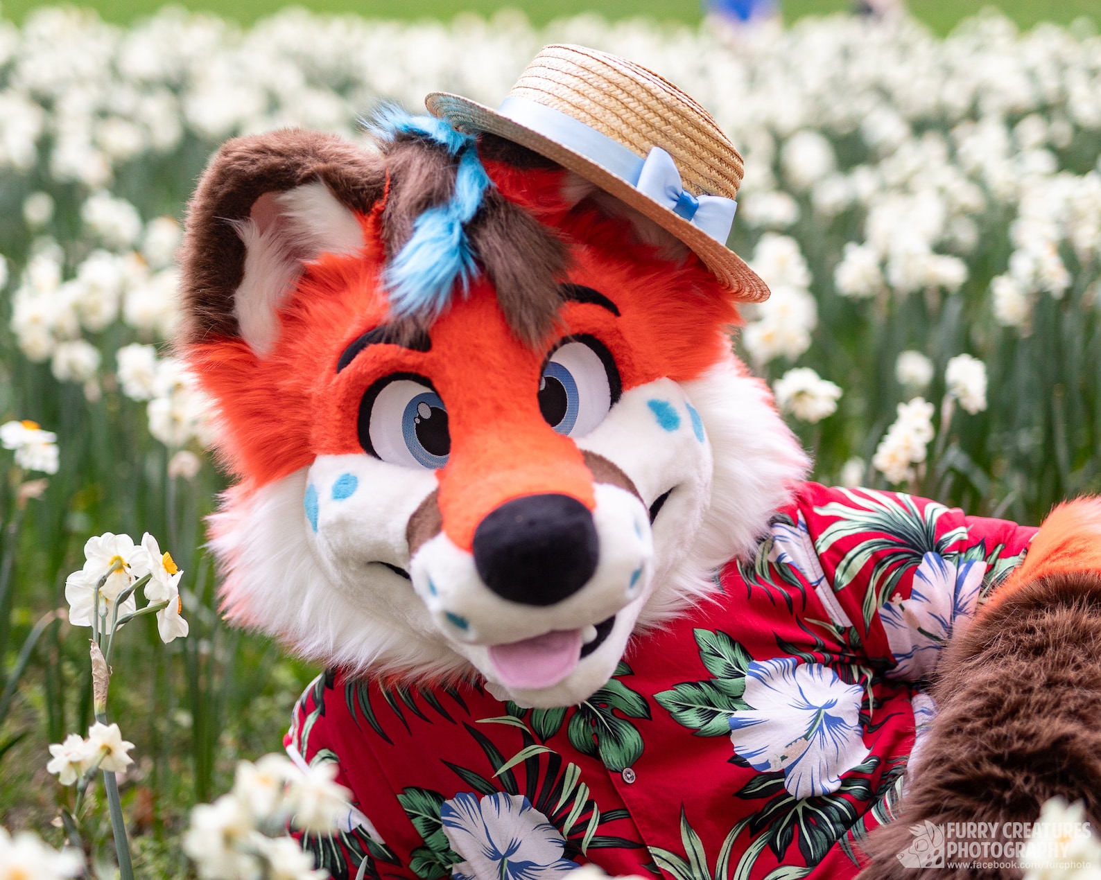 Toony Fox Fursuit Costume Expanding Foam Head Base - Etsy