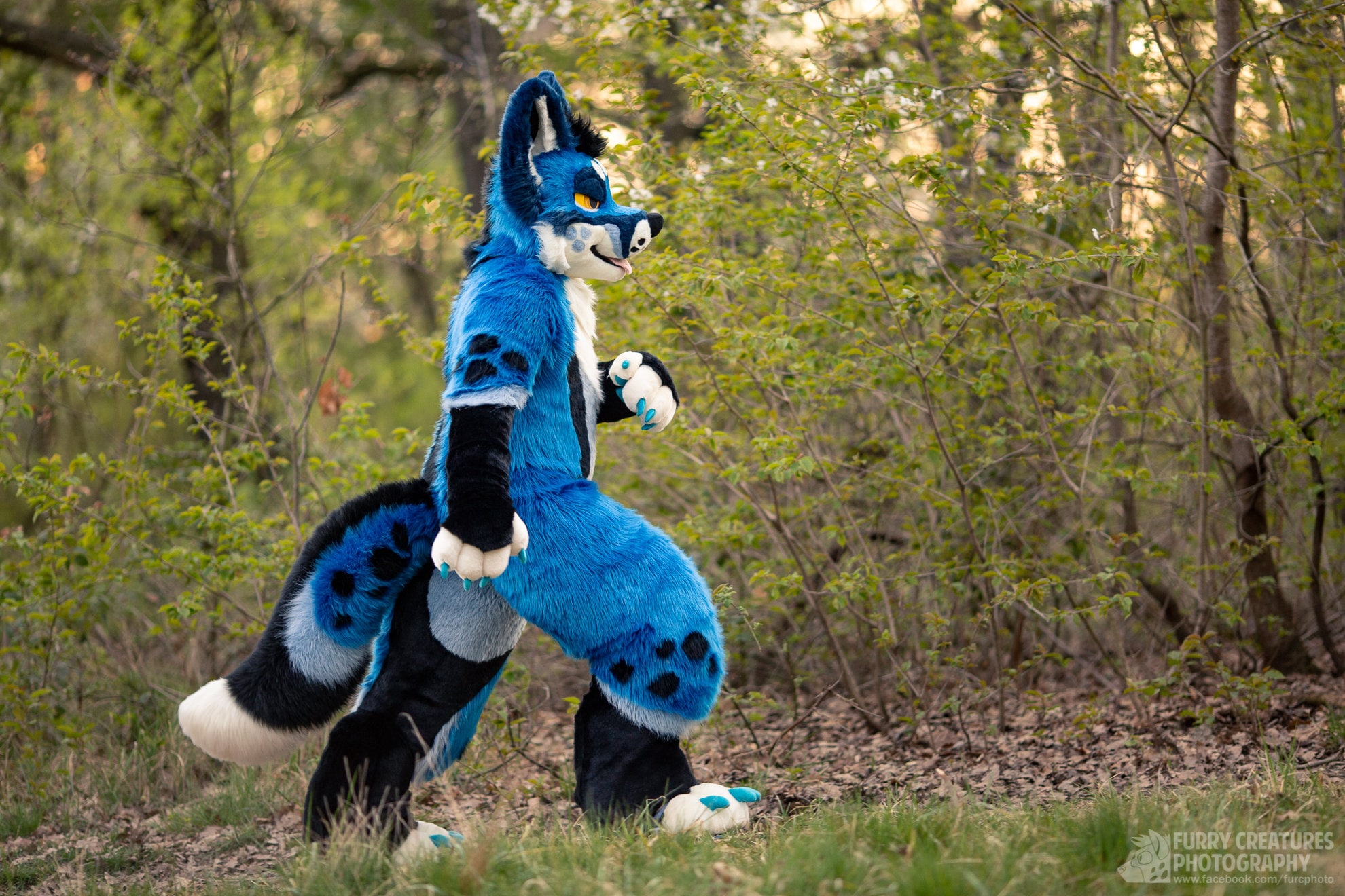 Stompy Digitigrade Fursuit Foam Toes 2 Sizes - Etsy Australia