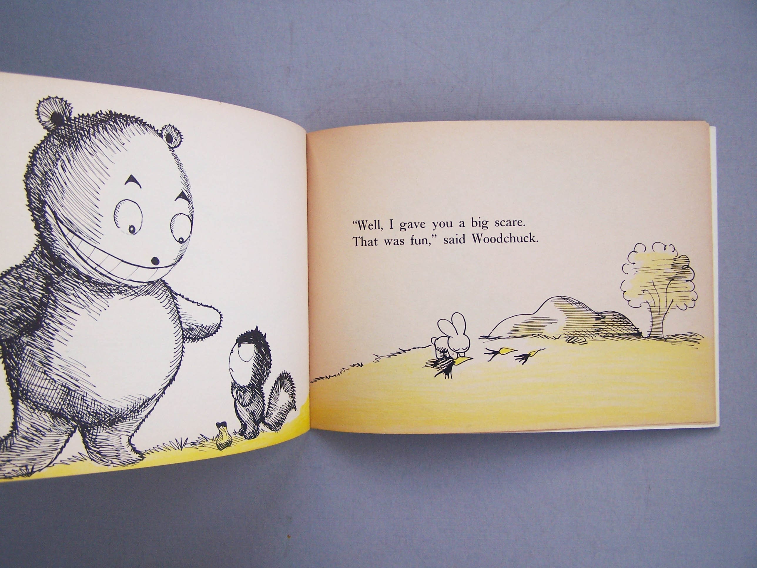 Rabbit and Skunk and the Scary Rock by Carla Stevens, Pictures by ...