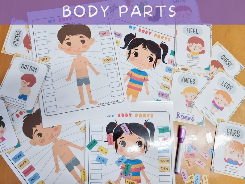 Body Parts Flashcards Toddler Flash Cards Kid Activity - Etsy