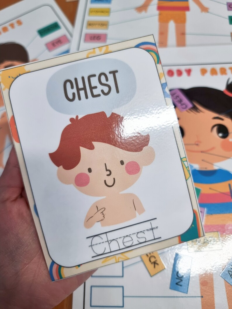 Body Parts Flashcards Toddler Flash Cards Kid Activity - Etsy