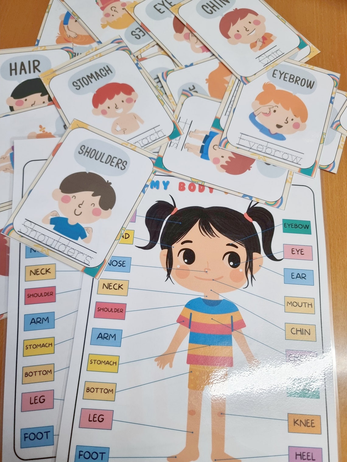 Body Parts Flashcards, Toddler Flash Cards, Kid Activity Visual Cards ...