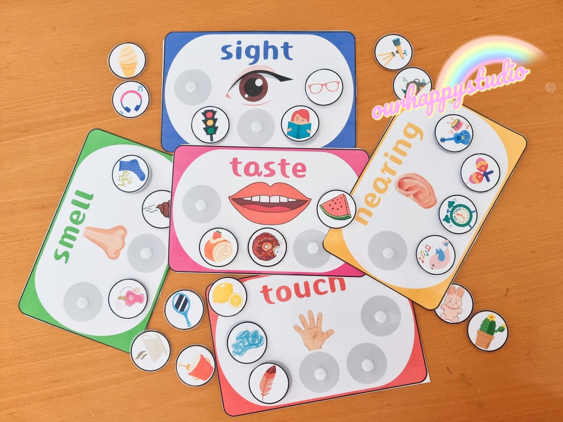 Five Senses Sorting Activity Printable Kid Game Toddler - Etsy Australia