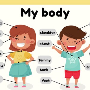 Educational Posters for Toddlers Human Body Part Montessori Homeschool ...