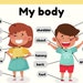 Educational Posters for Toddlers Human Body Part Montessori Homeschool ...
