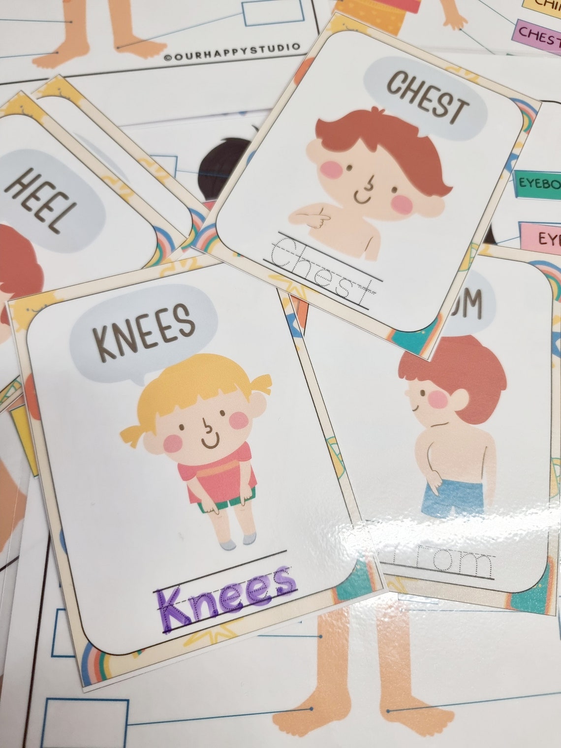 Body Parts Flashcards, Toddler Flash Cards, Kid Activity Visual Cards ...