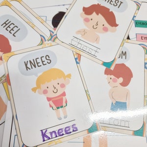 Body Parts Flashcards, Toddler Flash Cards, Kid Activity Visual Cards ...