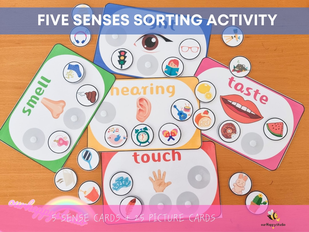 Five Senses Sorting Activity, Printable Kid's Game, 5 Senses, Preschool ...