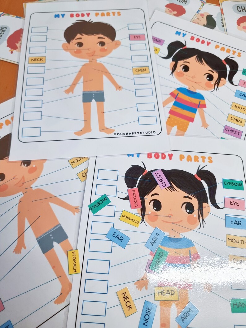 Body Parts Flashcards Toddler Flash Cards Kid Activity - Etsy