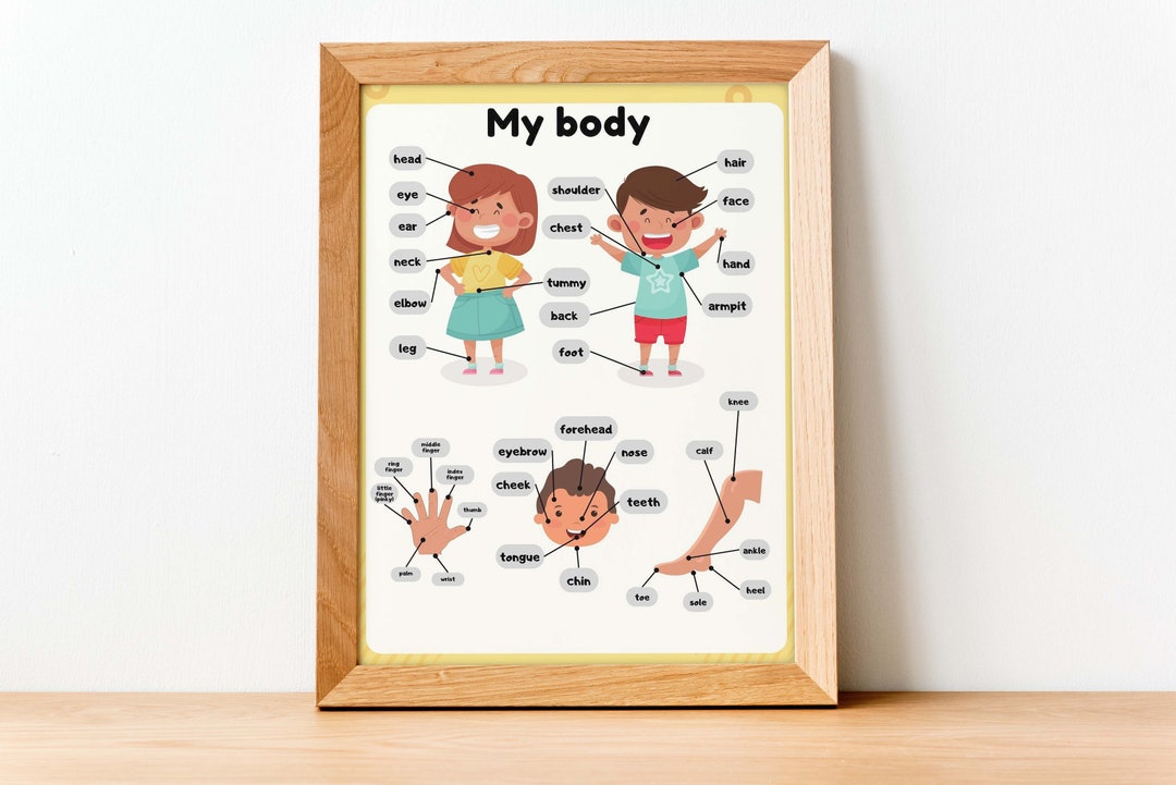 Educational Posters for Toddlers Human Body Part Montessori Homeschool ...