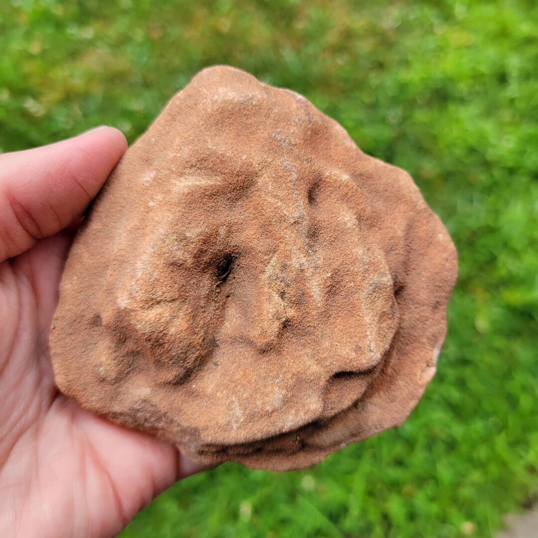Extra Large Barite Rose - Desert Rose Display Piece Mineral Specimen - Etsy