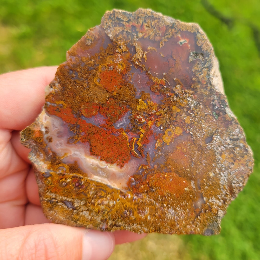 Mexican Moss Agate Thick Slab Display Piece - Polished - Etsy