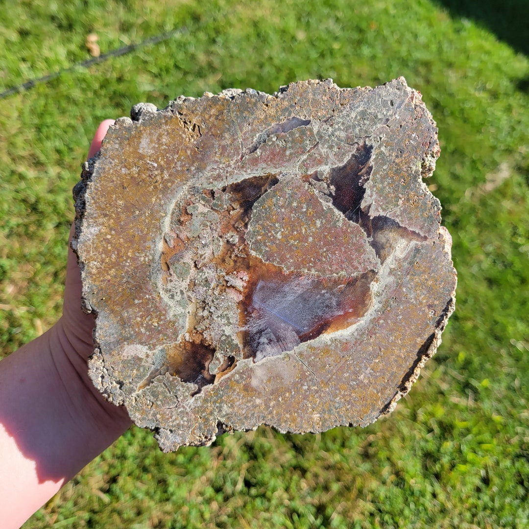 Extra Large Thunderegg Half From Oregon - Etsy