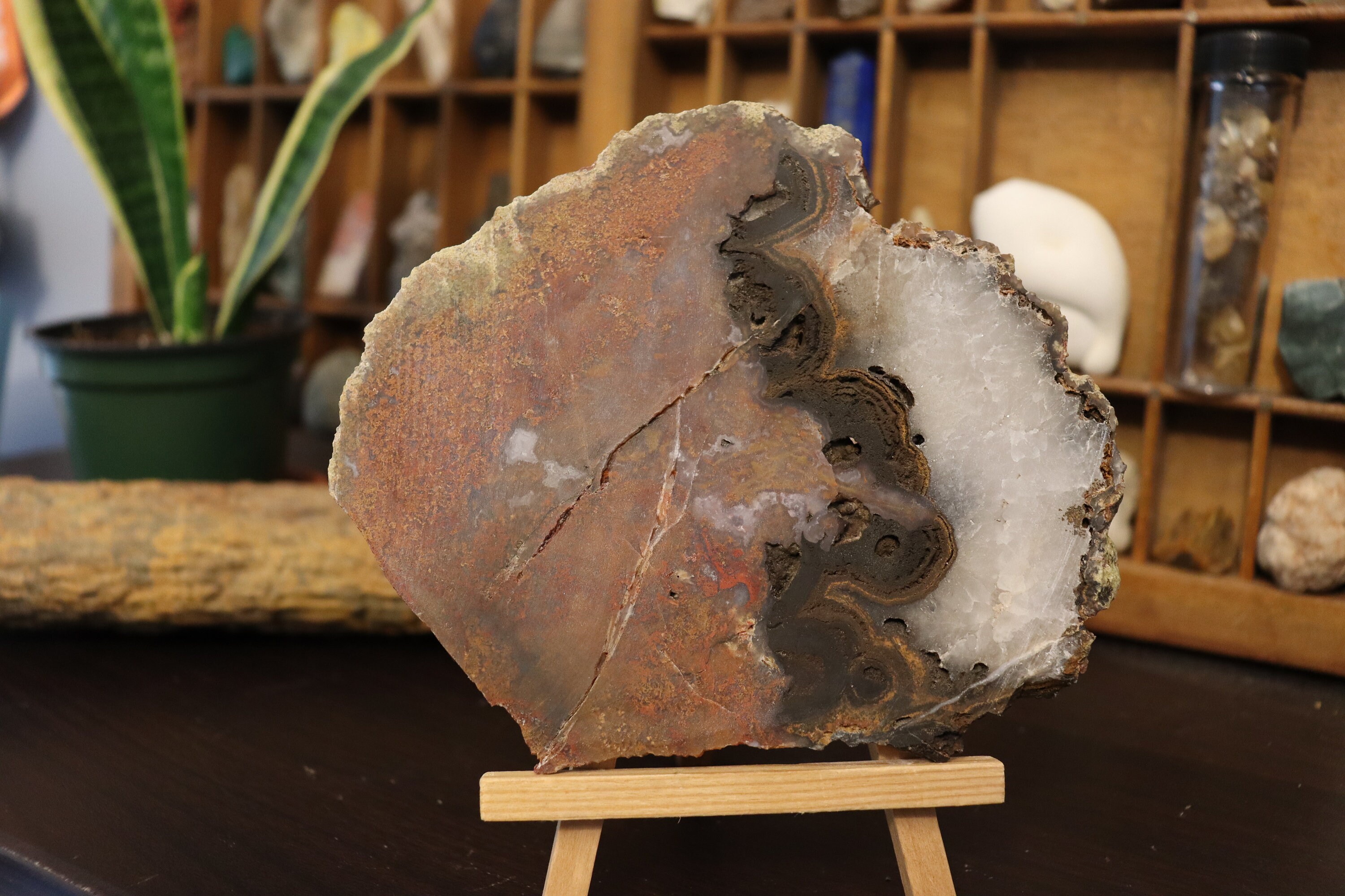 Mossy Agua Nueva Agate Slab Large Slab for Lapidary Cabbing | Etsy