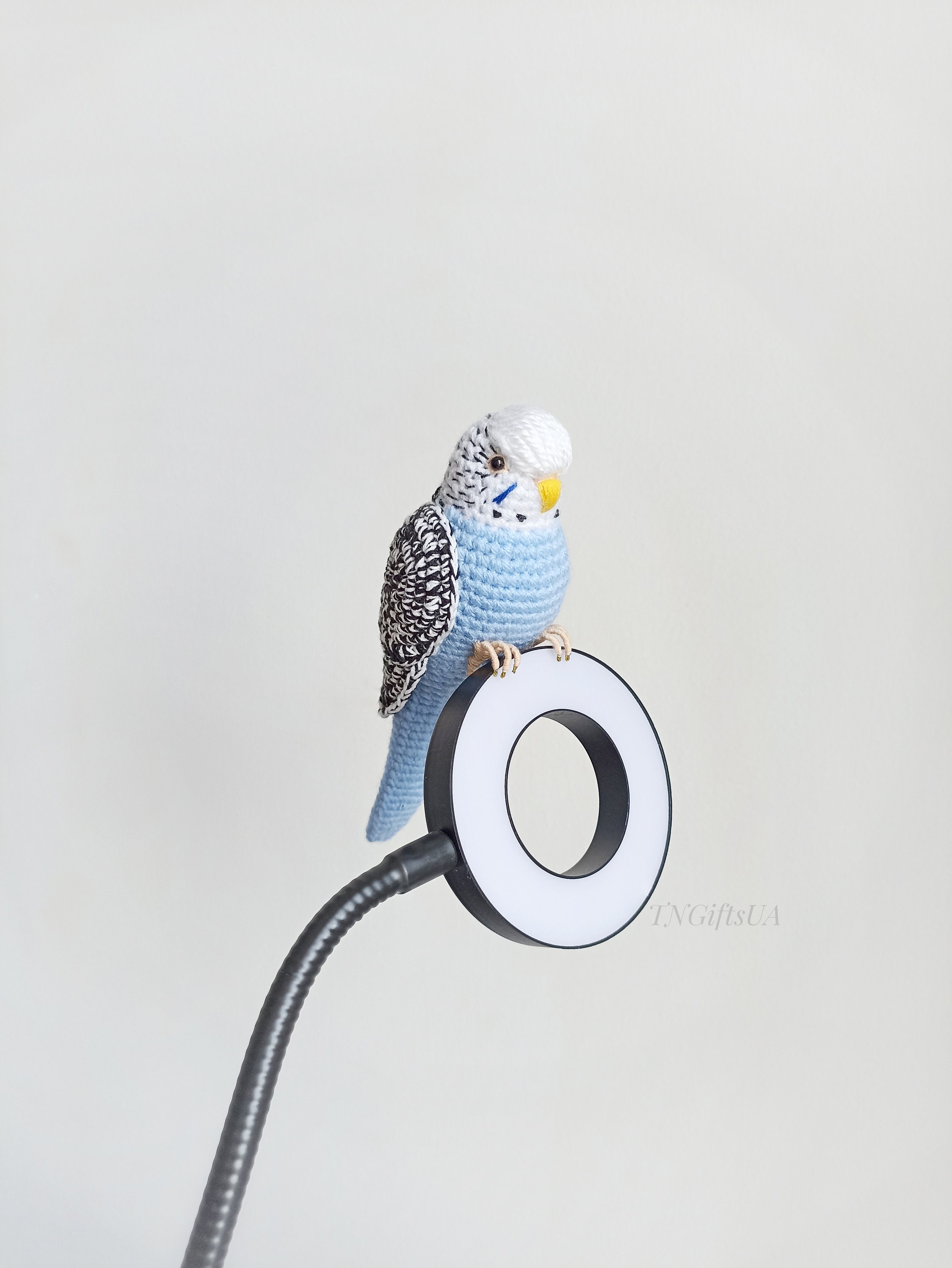 Blue Budgerigar Crochet Parakeet Stuffed Animal Plush Parrot - Etsy UK